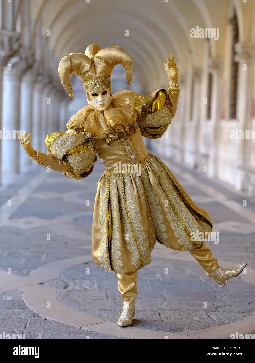 Venetian Jester Costume
