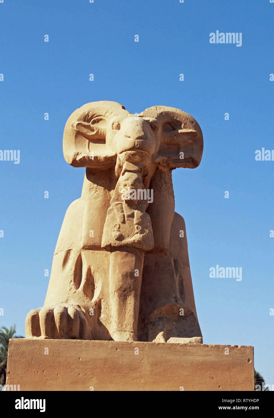 Crio sphinx hi-res stock photography and images - Alamy