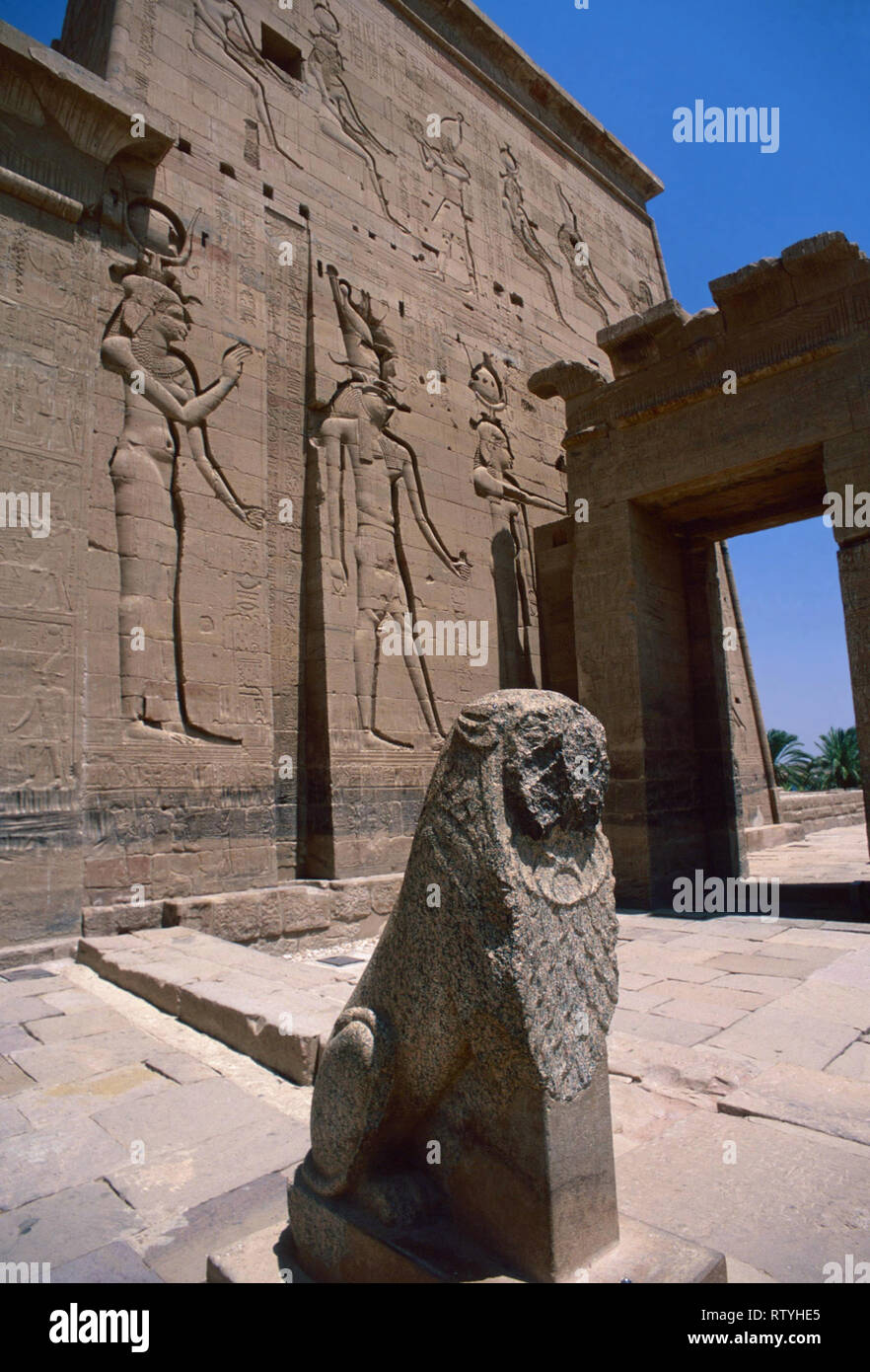 Roman style lions,Temple of Isis at Philae,Egypt Stock Photo - Alamy