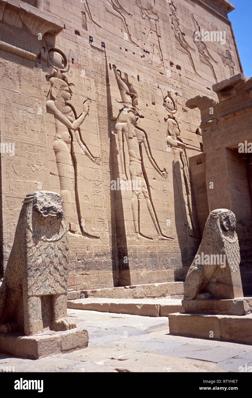 Roman style lions,Temple of Isis at Philae,Egypt Stock Photo - Alamy
