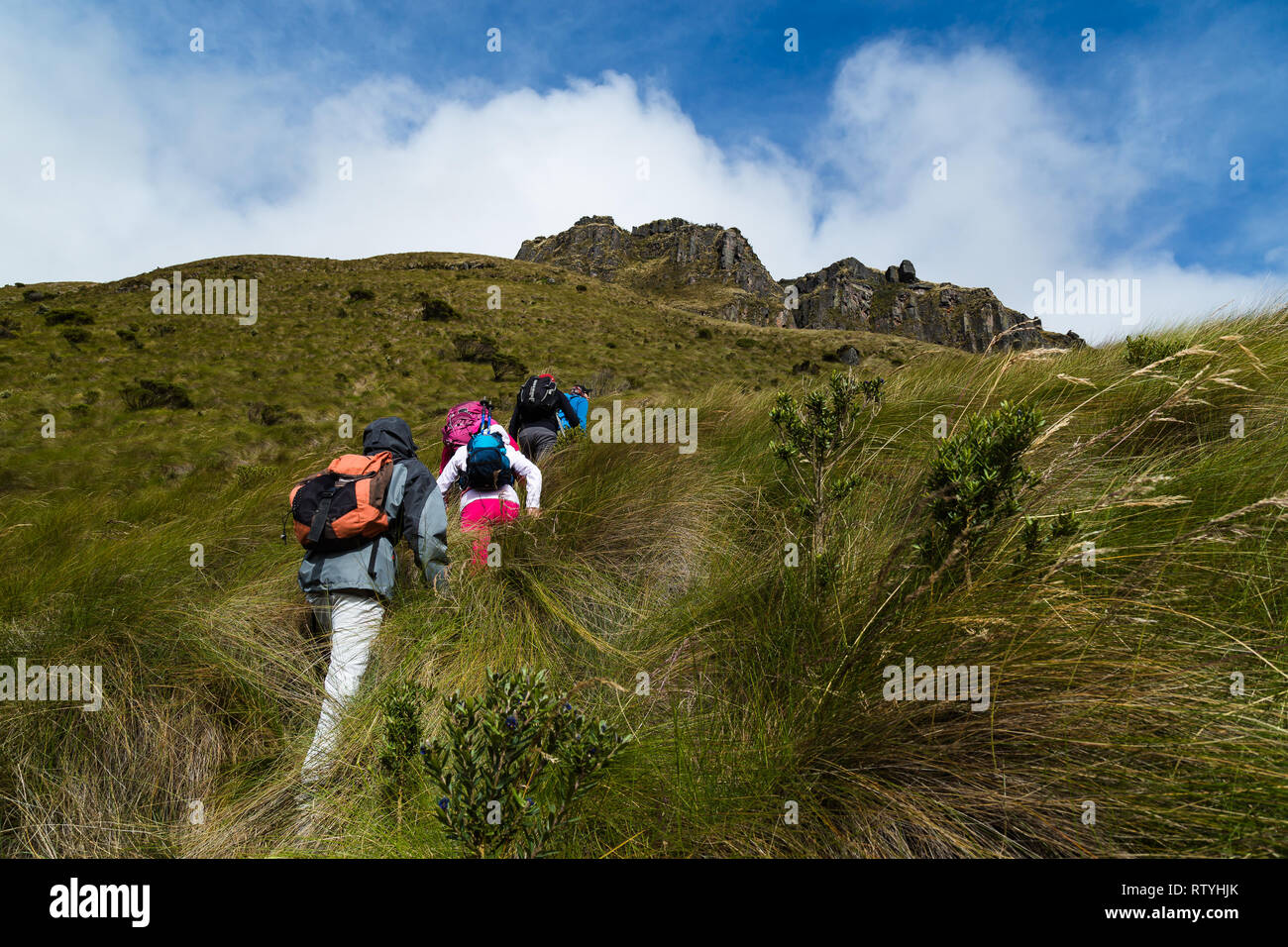 A group of mountaineers climbing the Cerro del Conde, Ecuador Stock ...