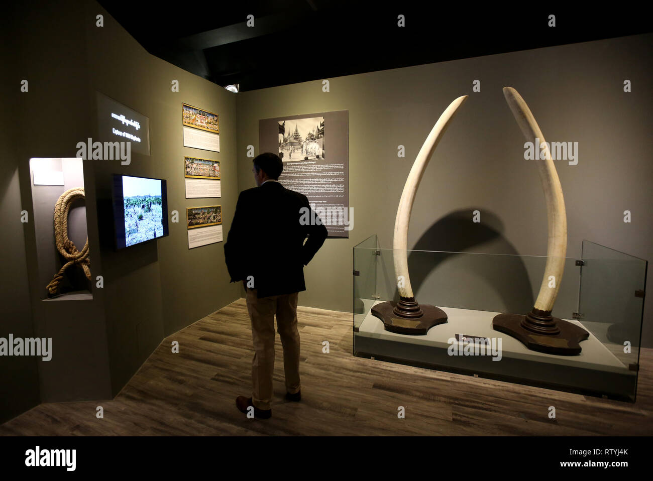 Yangon, Myanmar. 3rd Mar, 2019. A man views exhibits during the opening ...
