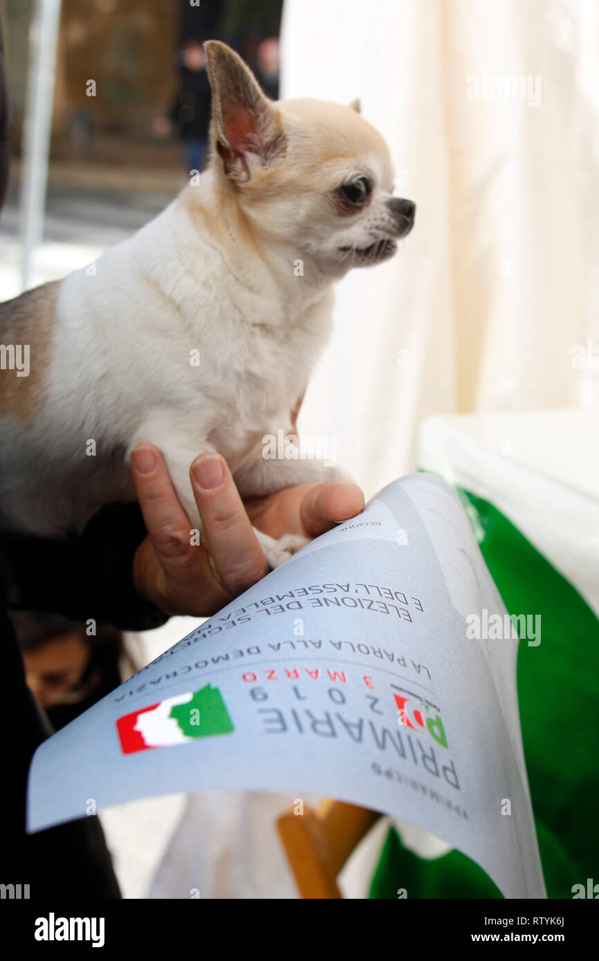 Election Italy Ballot Paper High Resolution Stock Photography and ...