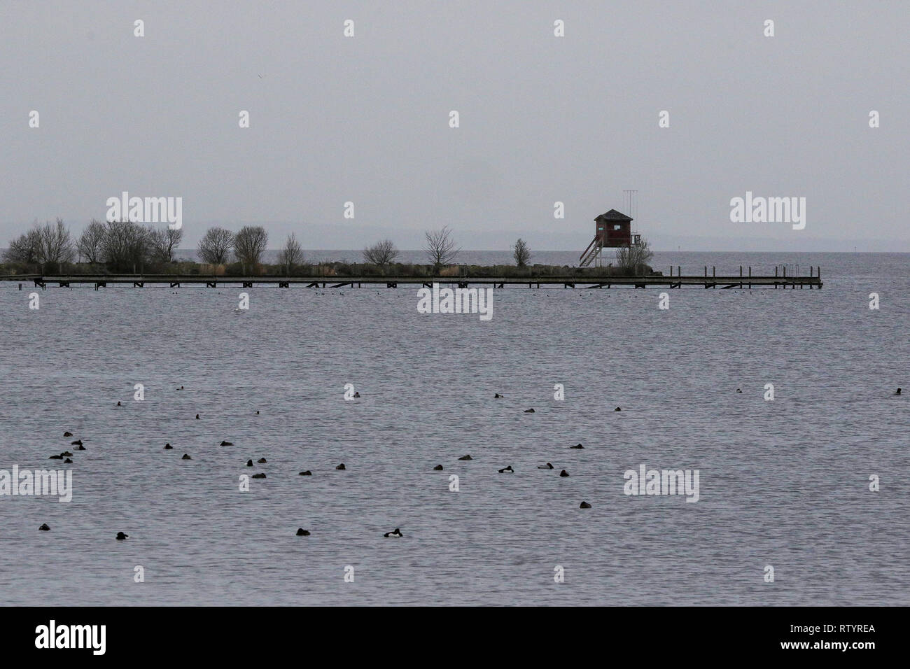 Lough Neagh, Northern Ireland. 03 March 2019. UK weather - a drab grey ...