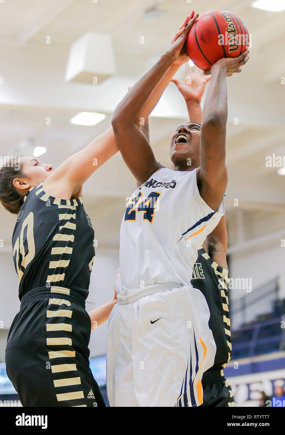 Edmond, OK, USA. 2nd Feb, 2019. University of Central Oklahoma Forward ...