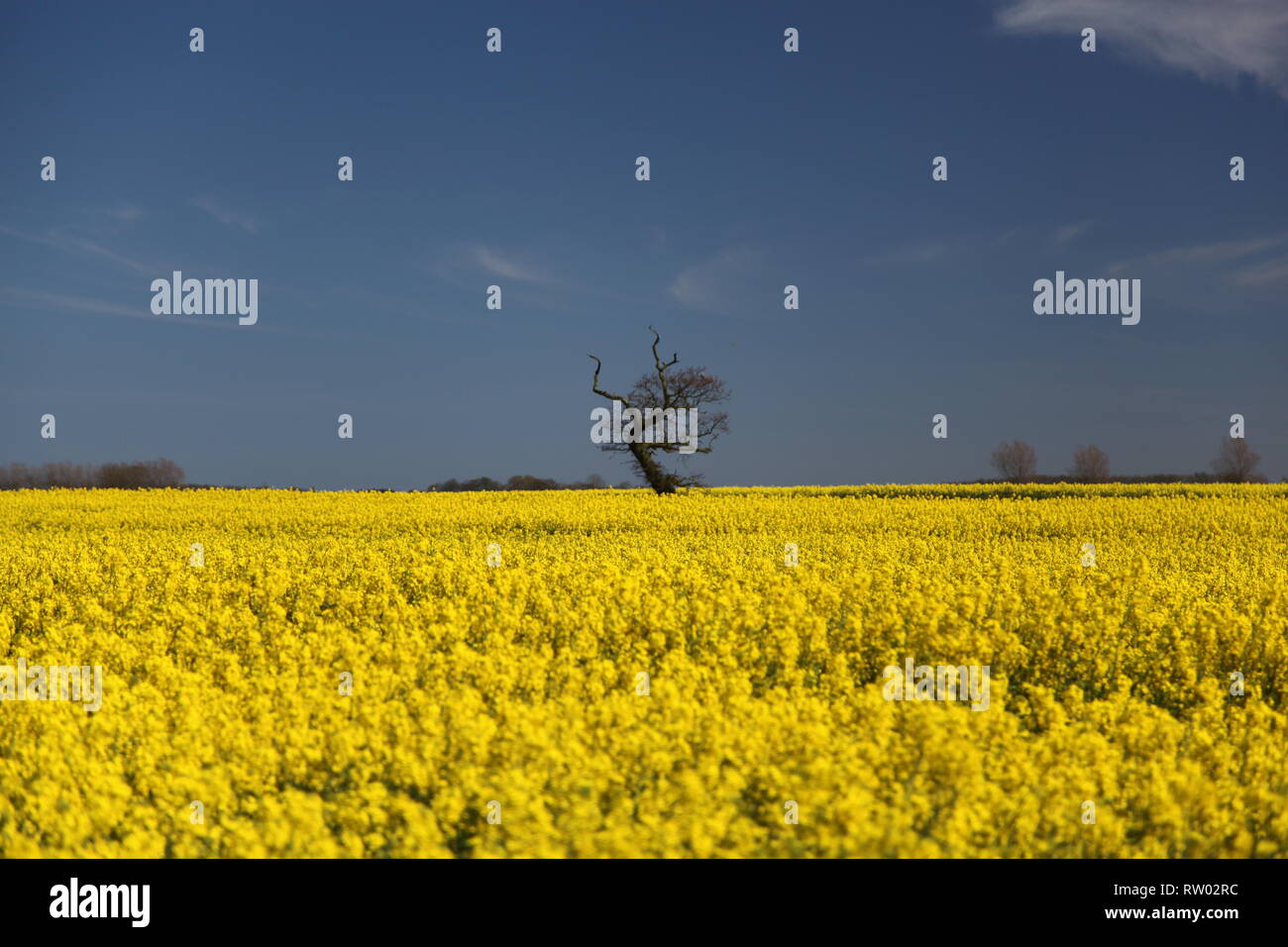 Goxhill hi-res stock photography and images - Alamy