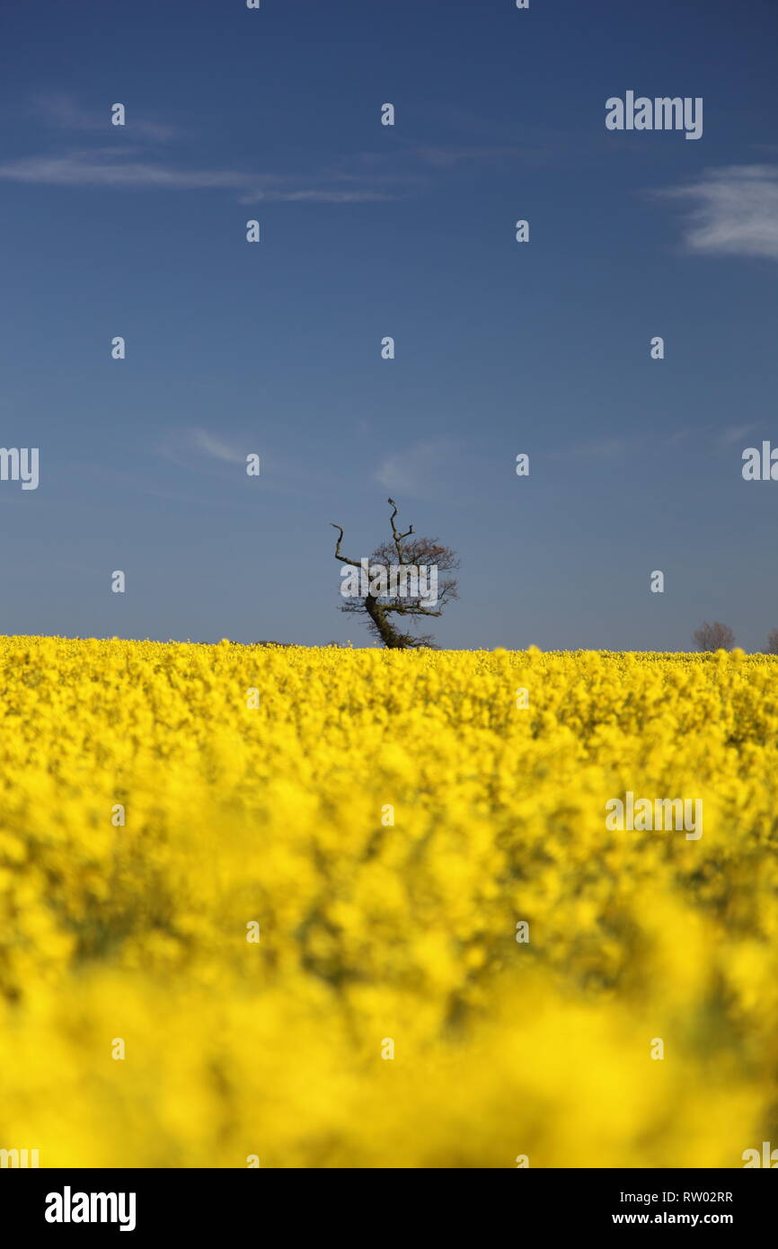 Goxhill hi-res stock photography and images - Alamy