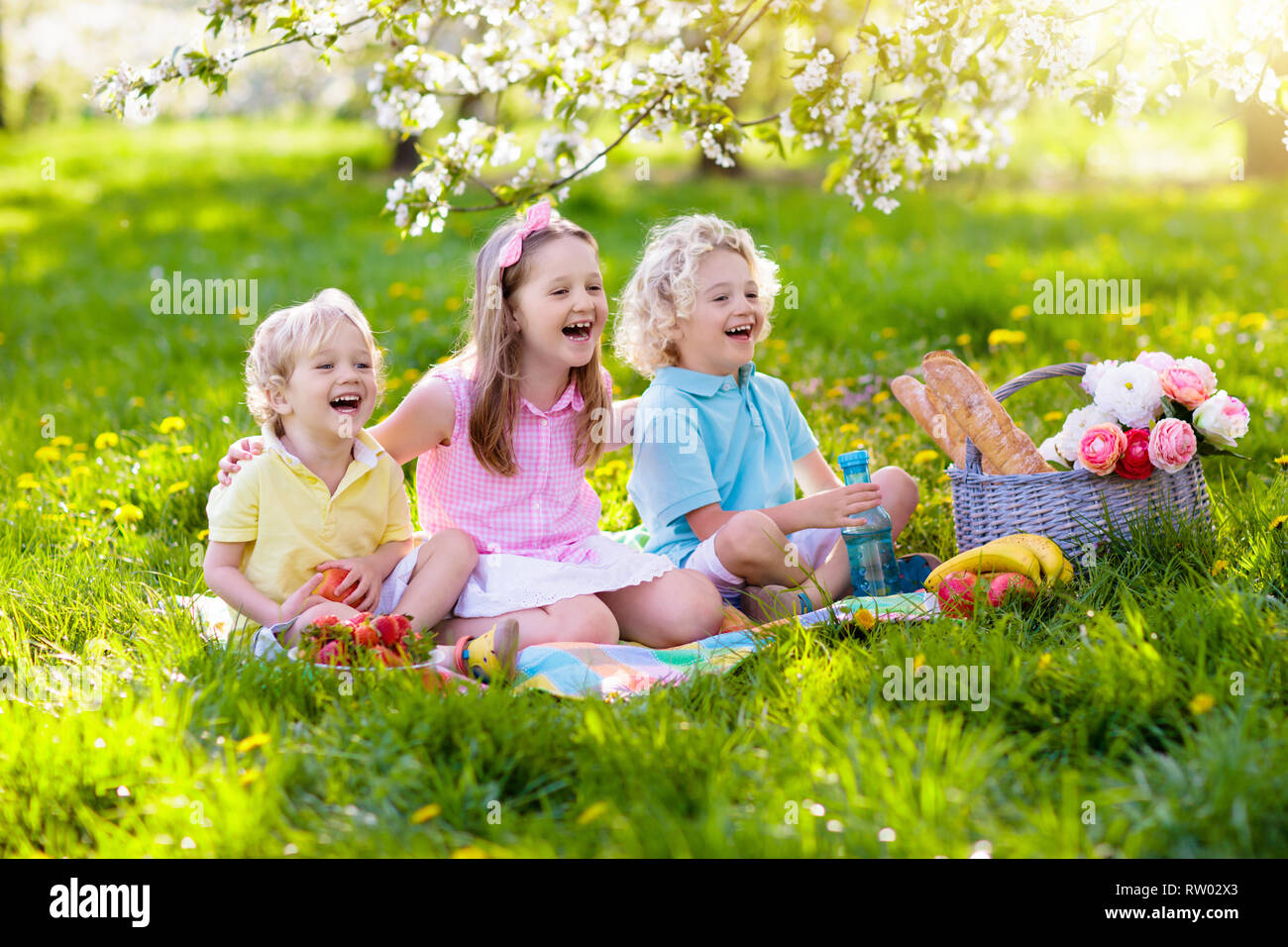 Family picnic in spring park with blooming cherry trees. Kids eating ...