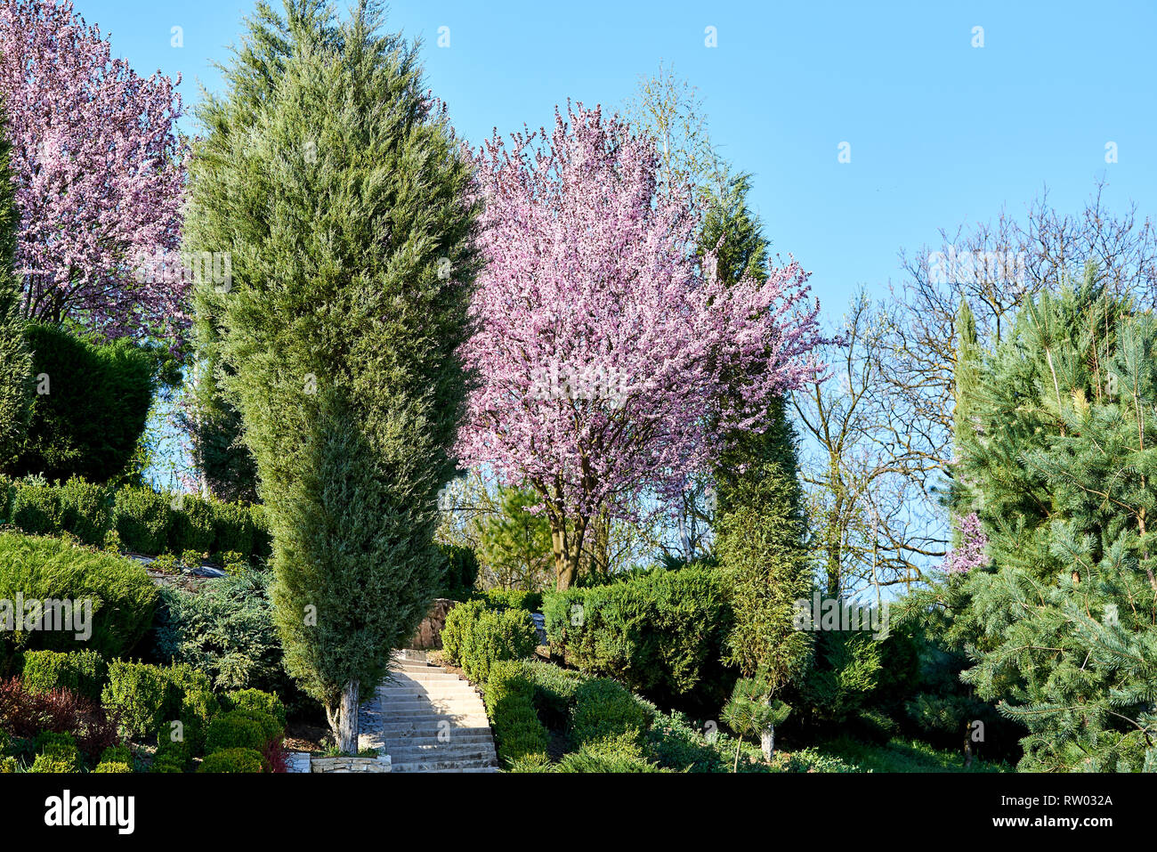 Nursery of shrubs in the spring Stock Photo - Alamy