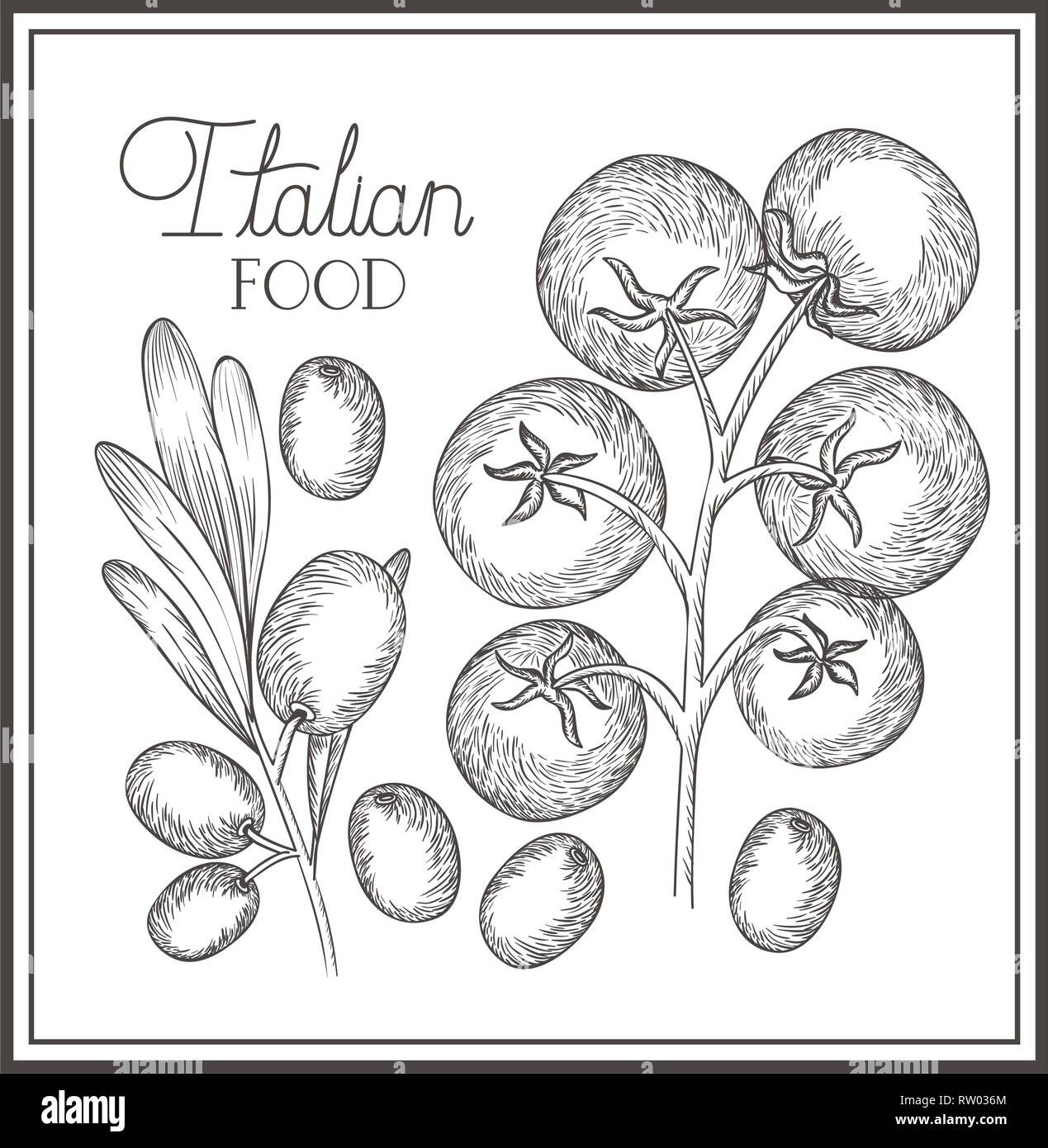 delicious italian food in drawing Stock Vector Image & Art - Alamy