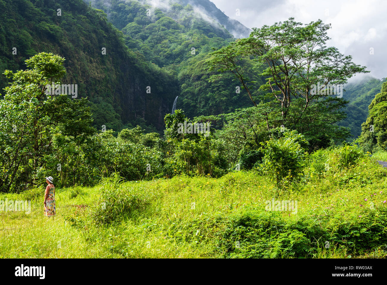 French polynesia jungle hi-res stock photography and images - Alamy