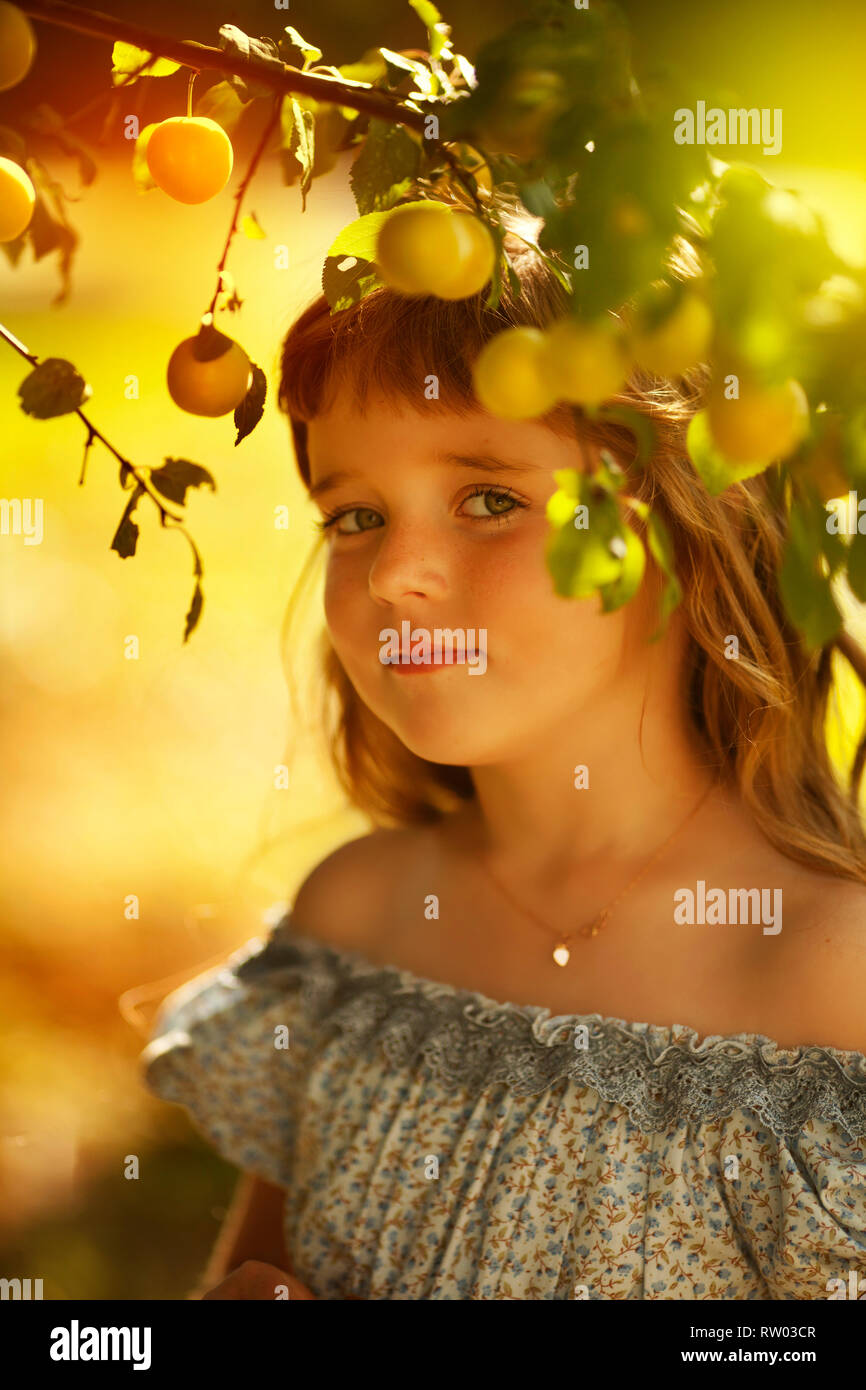 Adorable little girl in blooming apple tree Stock Photo - Alamy