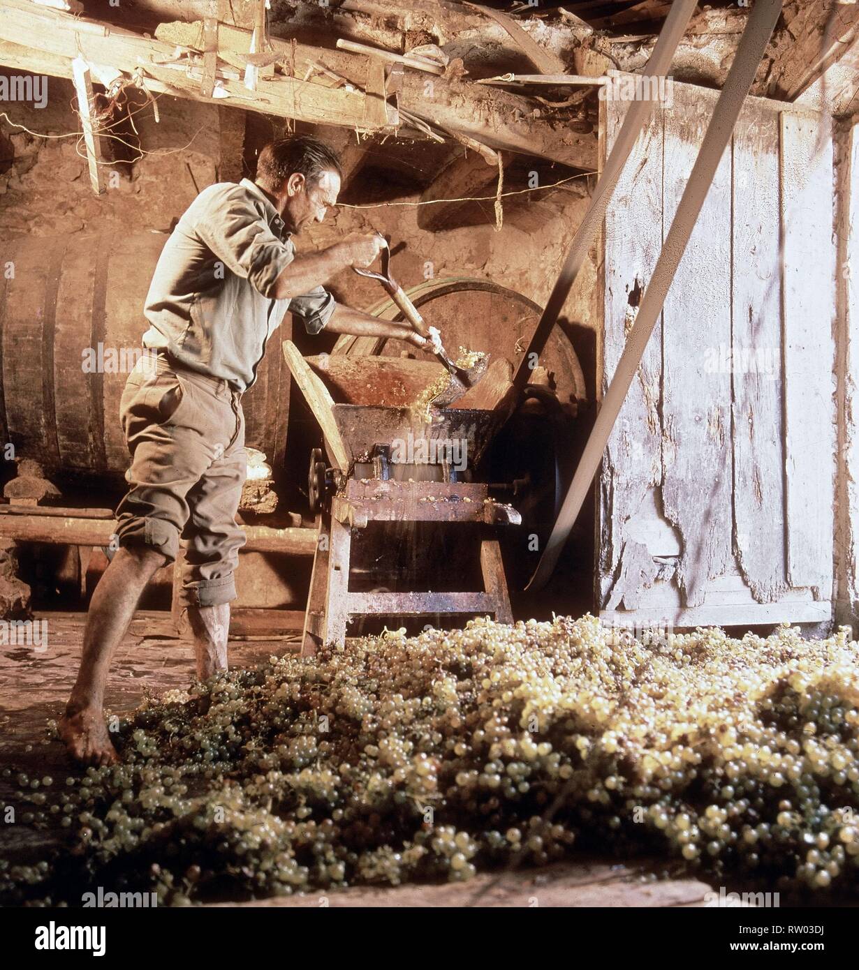 Prensa mecanica de uva hi-res stock photography and images - Alamy