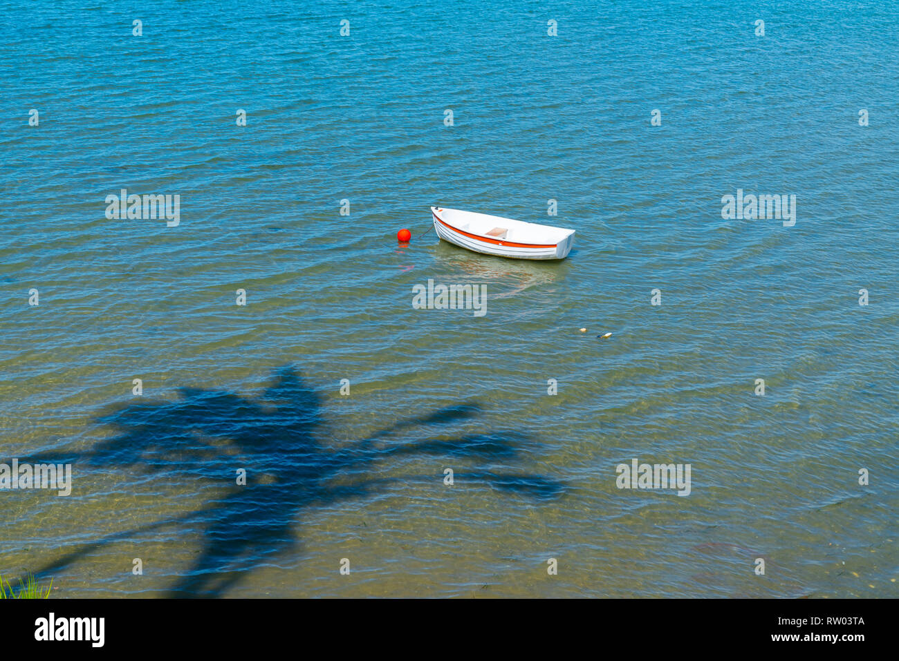 Palm tree casts shadow over water with small white dinghy afloat on ...