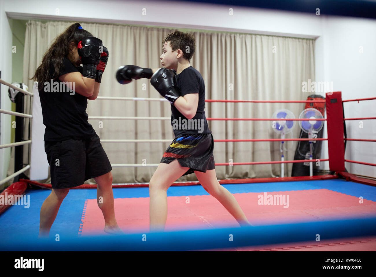 Boy and girl kickbox fighters sparring in the ring Stock Photo - Alamy