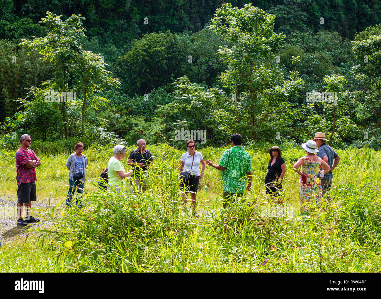 Tahiti Rain Forest, French Polynesia — March 18, 2018. A guide ...