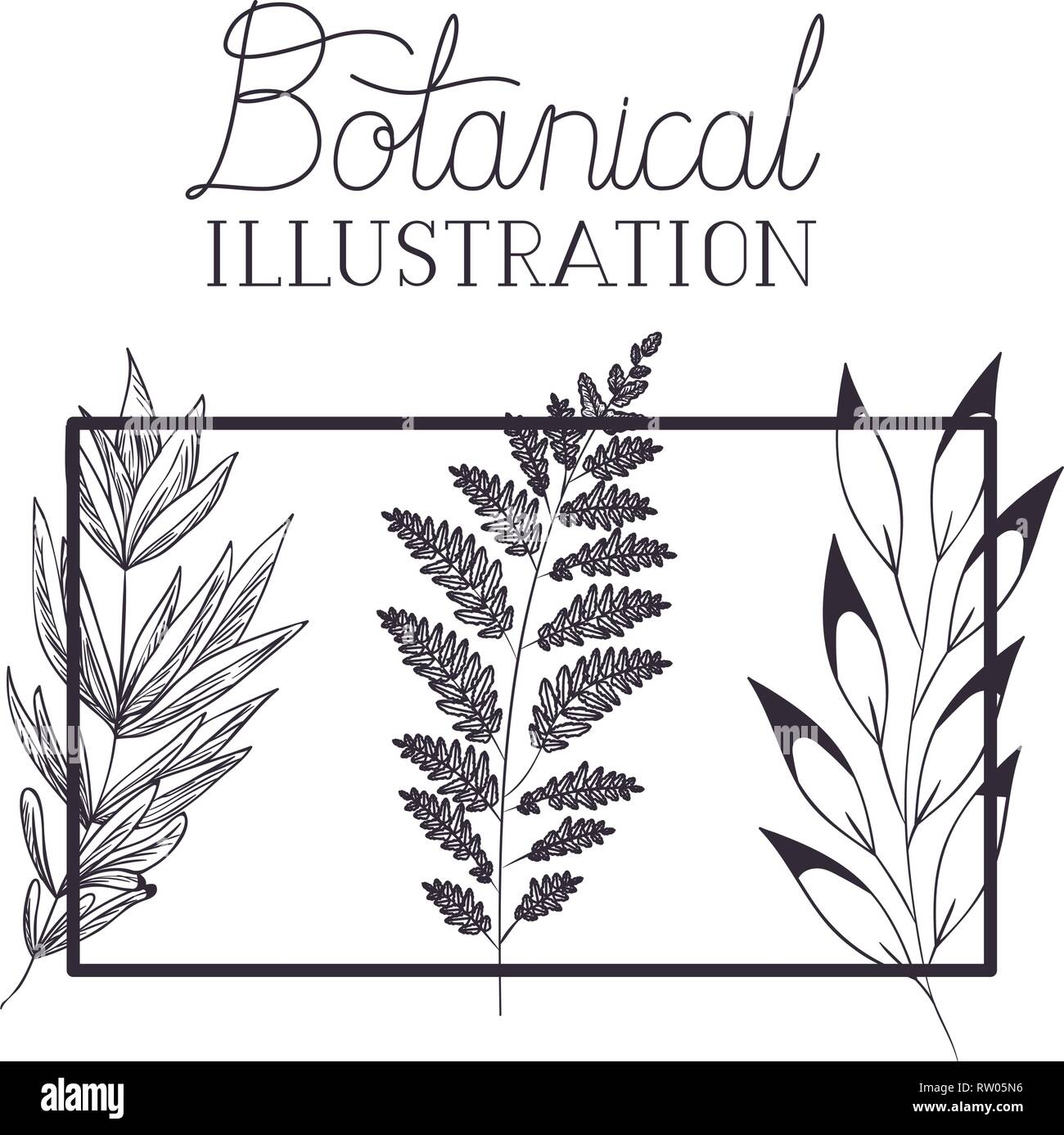 botanical illustration label with plants Stock Vector Image & Art - Alamy