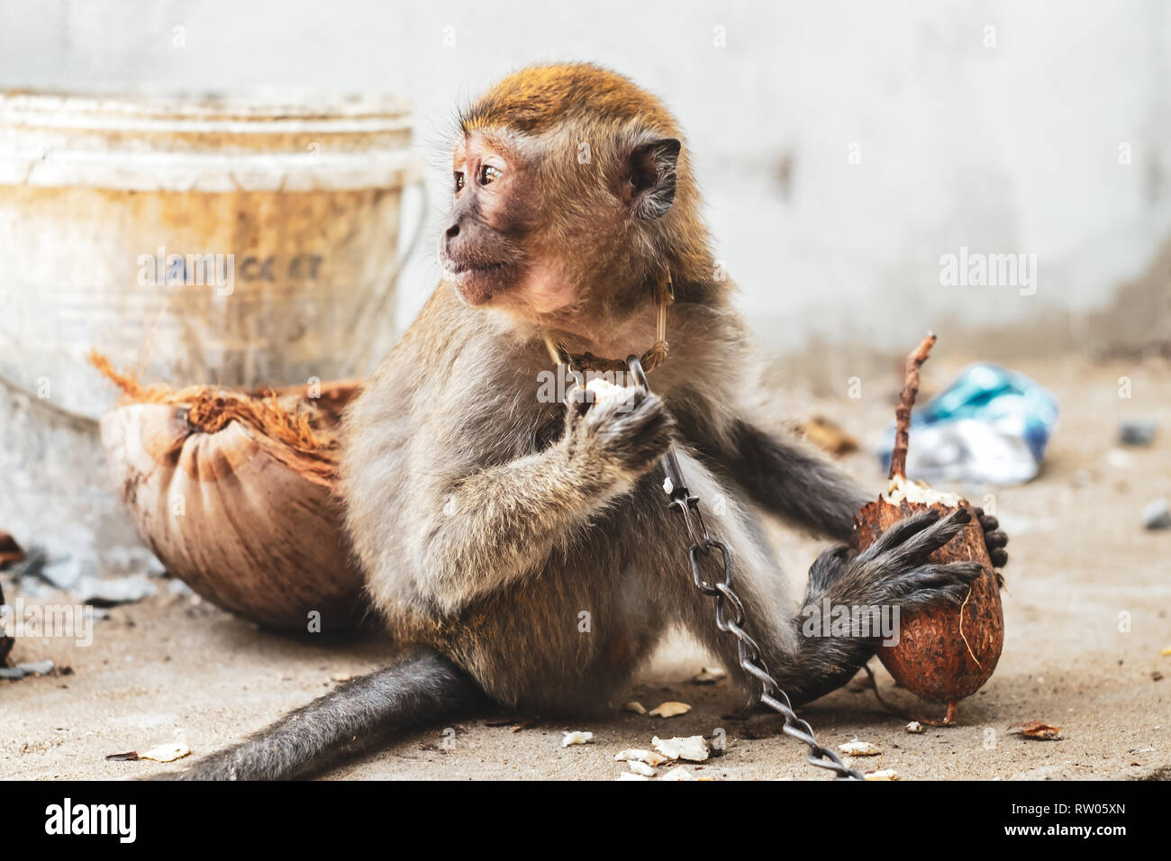 Chained kids hi-res stock photography and images - Alamy