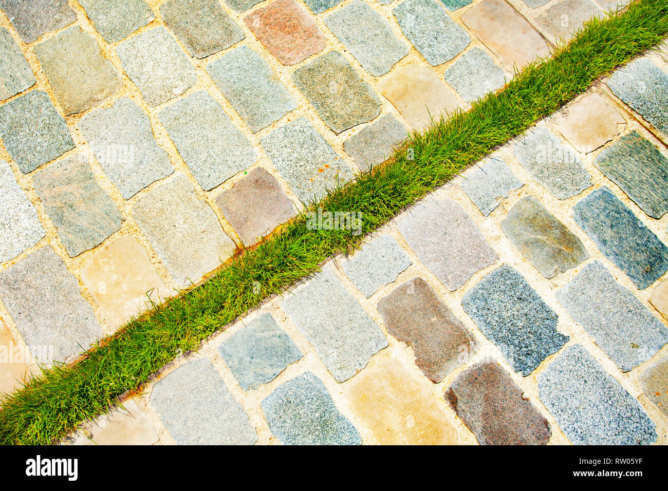 technique to hide rainwater drain with pretty grass patch on brick ...