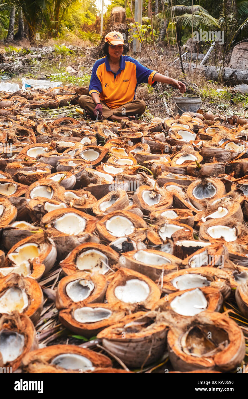 Farmer Malaysia High Resolution Stock Photography and Images - Alamy