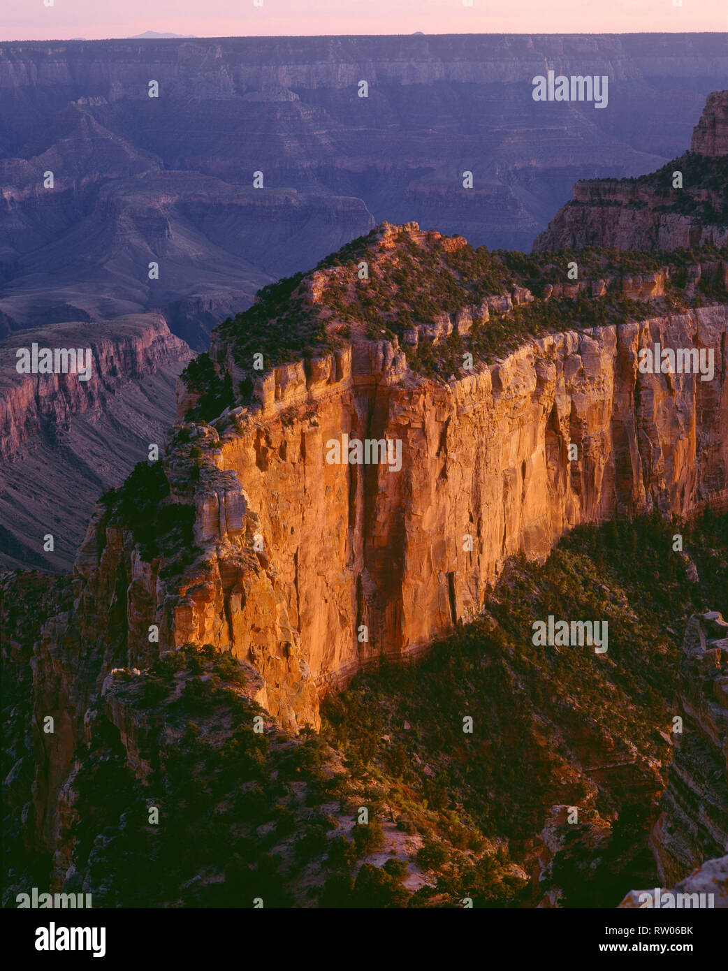 USA, Arizona, Grand Canyon National Park, Evening light on Wotan's ...