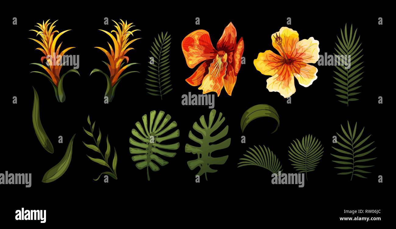 Exotic Flowers, Tropical Leaves design elements. Vector floral ...