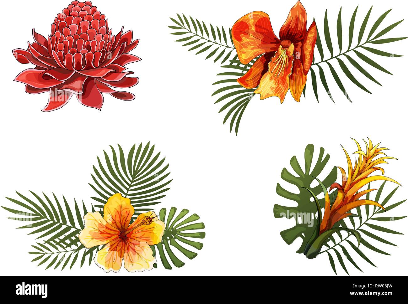 Exotic Flowers, Tropical Leaves design elements. Vector floral ...