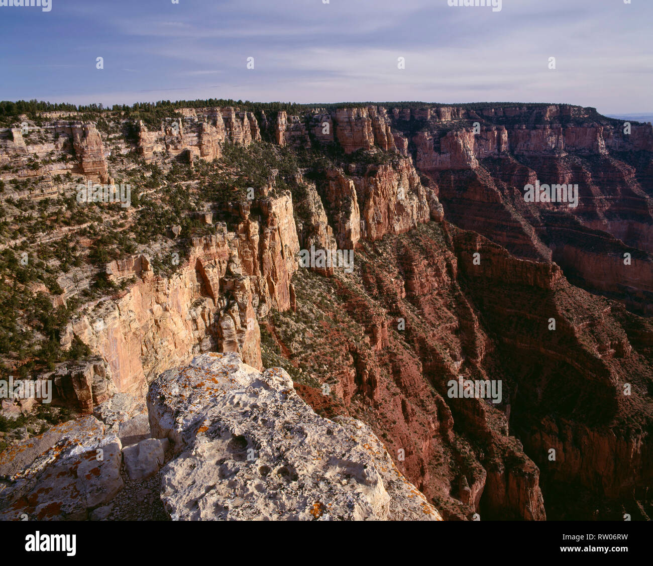 USA, Arizona, Grand Canyon National Park, North Rim. Eroded face of ...