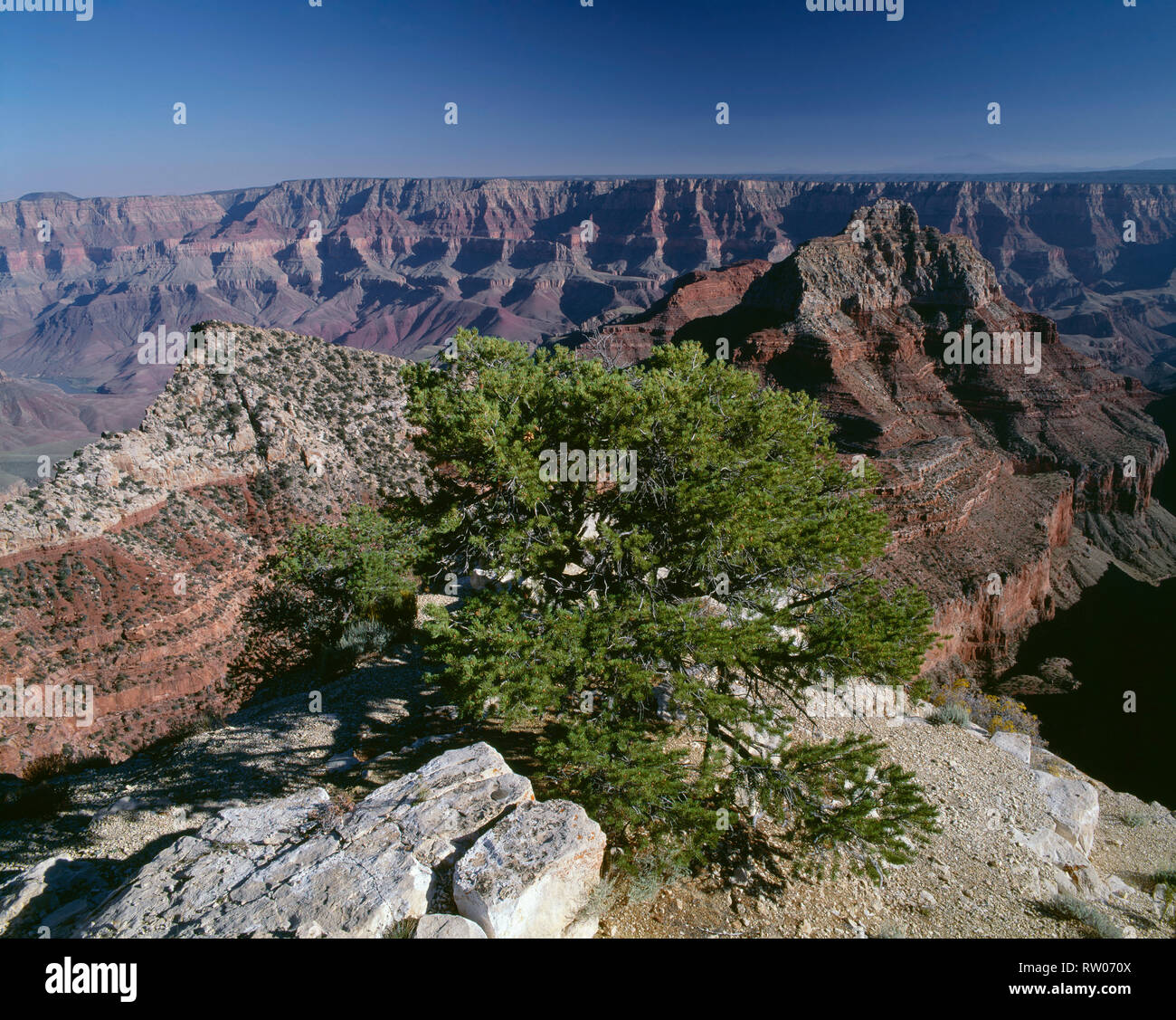 USA, Arizona, Grand Canyon National Park, Freya Castle (left), Vishnu ...
