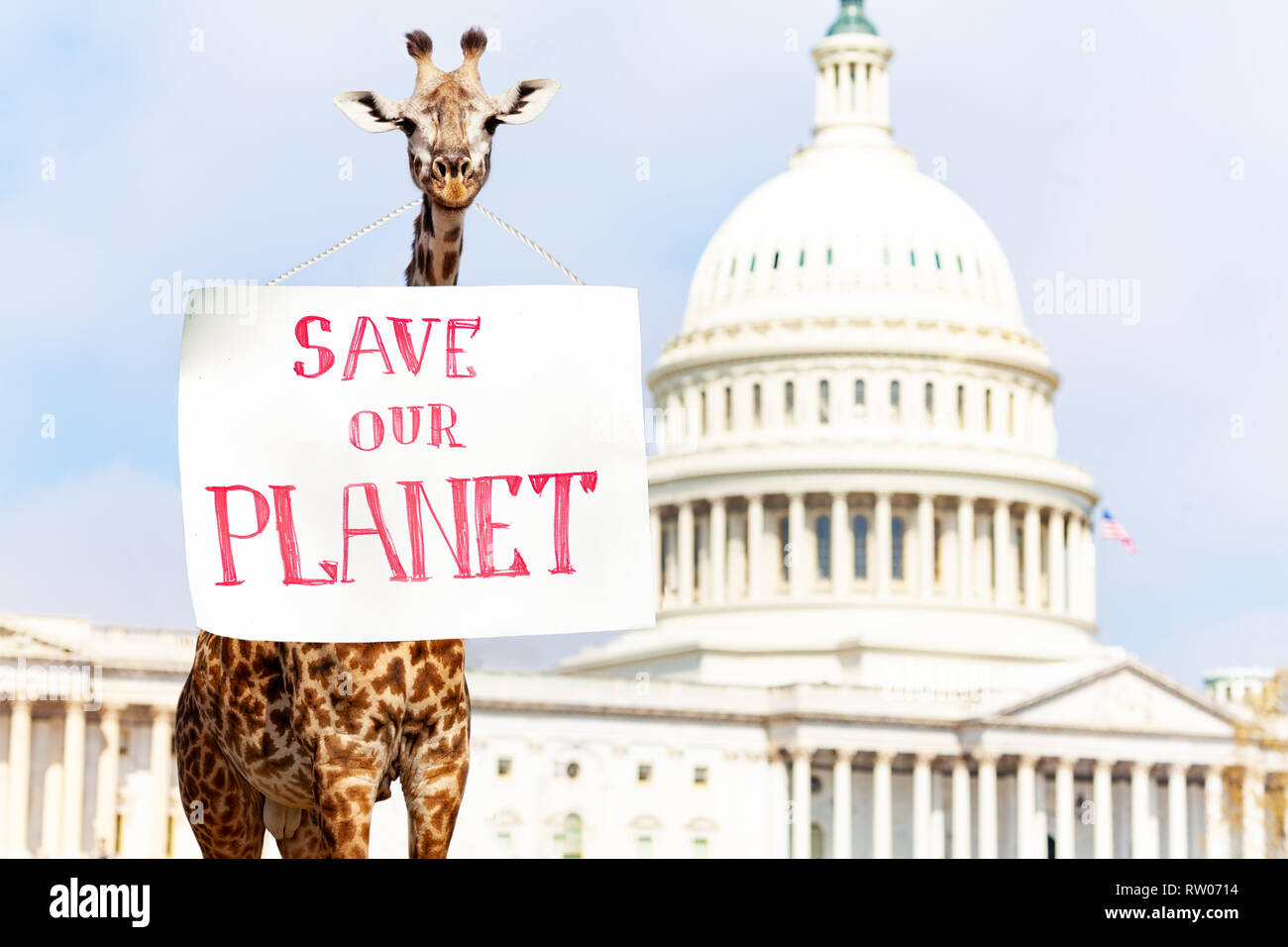 Animal giraffe protest concept in front of the USA capitol in ...