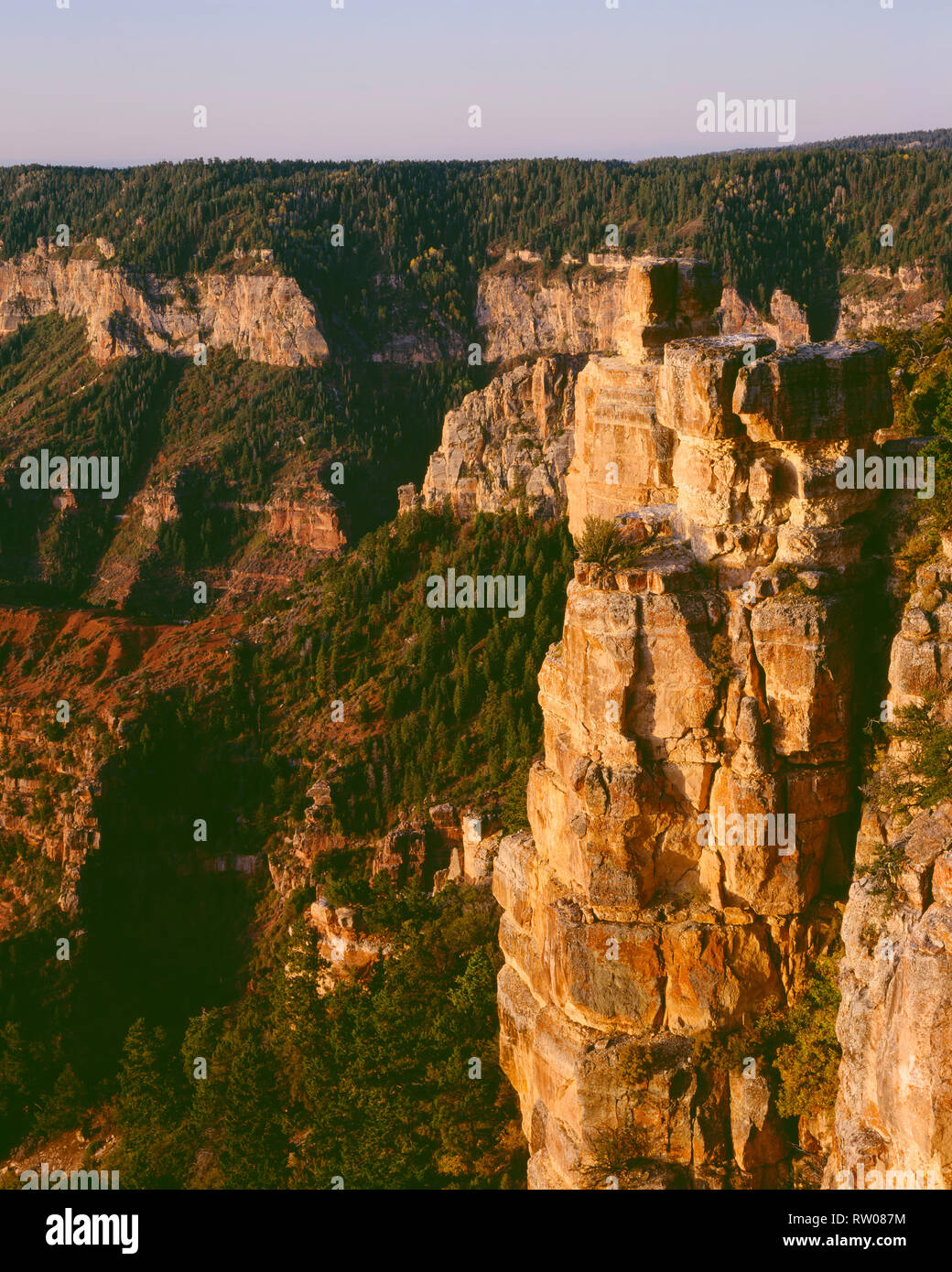 USA, Arizona, Grand Canyon National Park, Sunrise light on Kaibab ...