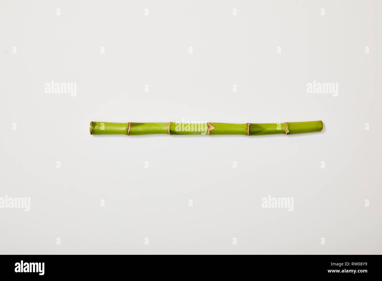 top view of green bamboo stem on white background Stock Photo - Alamy