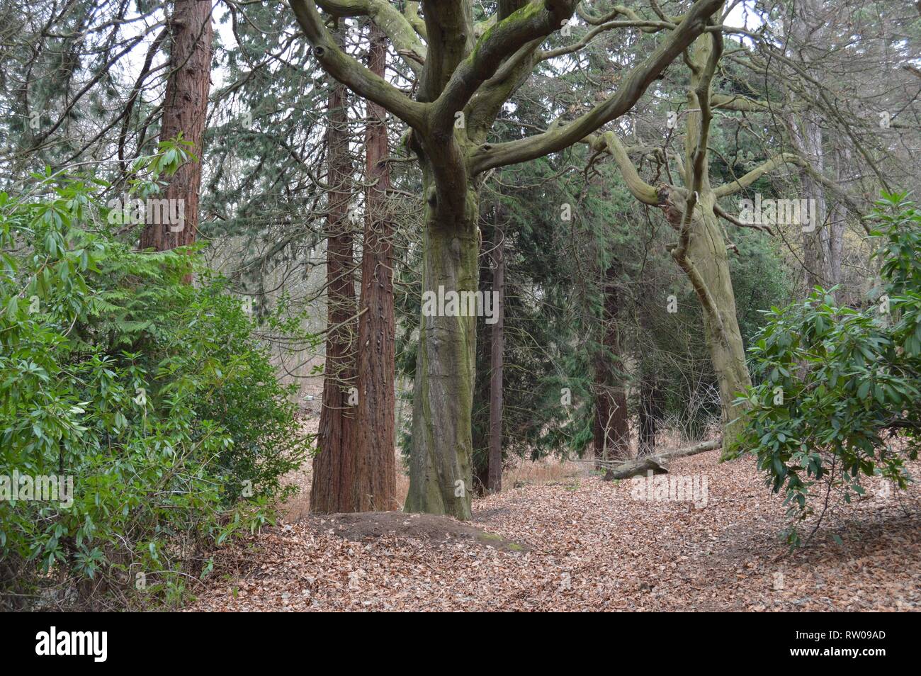 Retting pond hi-res stock photography and images - Alamy