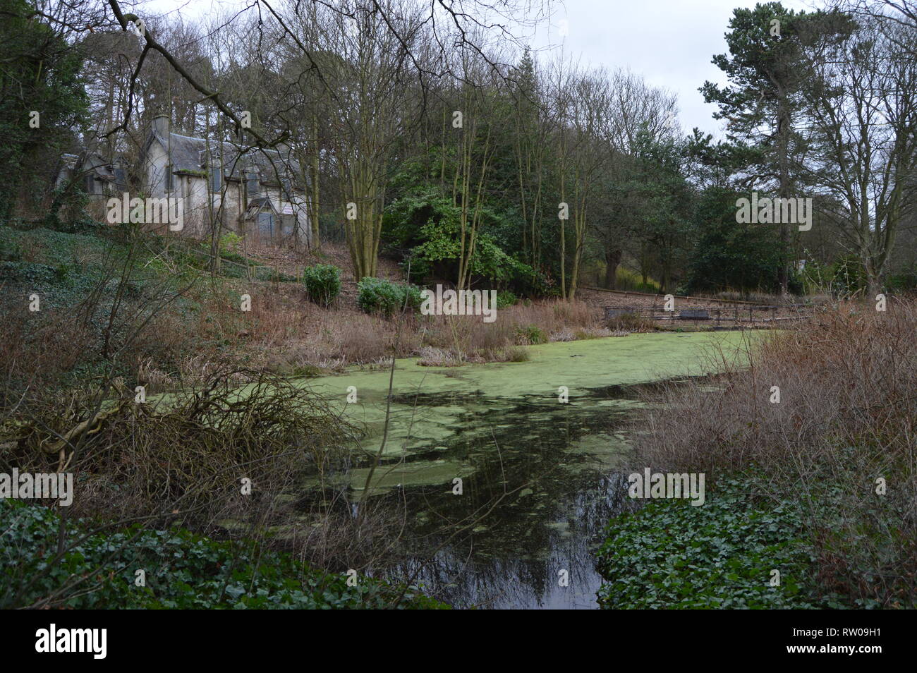 Retting pond for flax, Silverburn Park, Leven, Fife, Scotland Stock ...