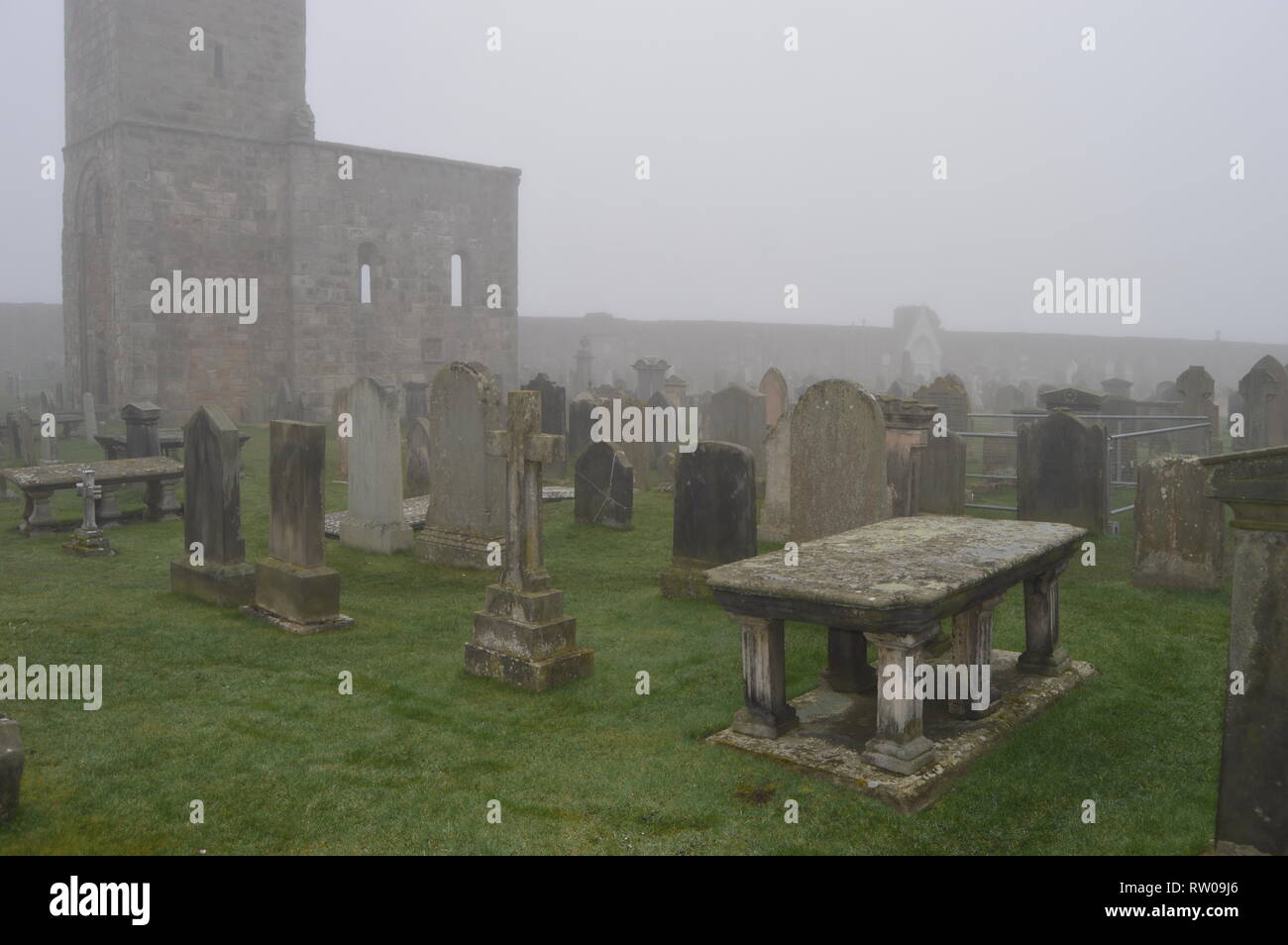 A mist envelops St Andrews Cathedral graveyard Stock Photo - Alamy