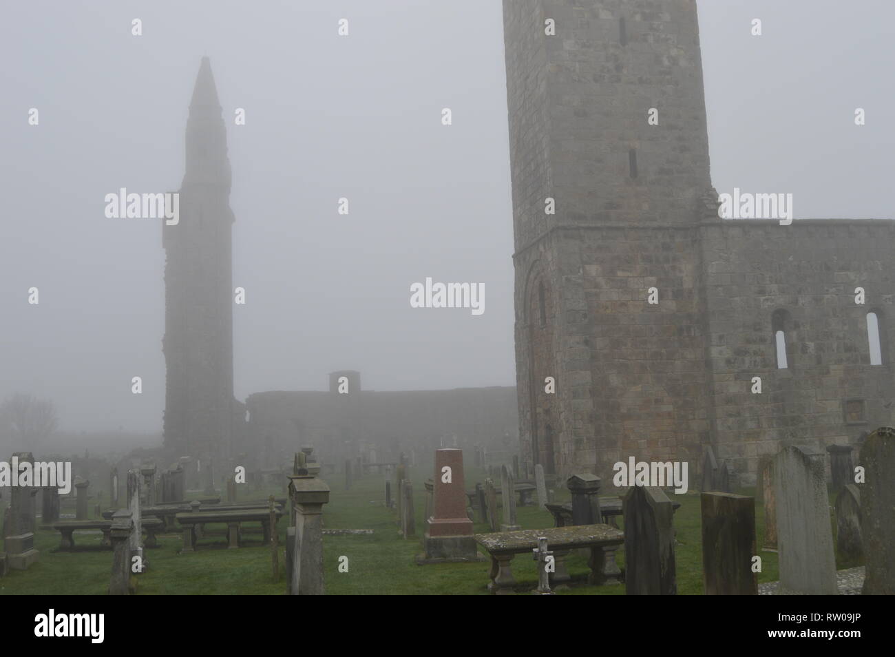 A mist envelops St Andrews Cathedral graveyard Stock Photo - Alamy