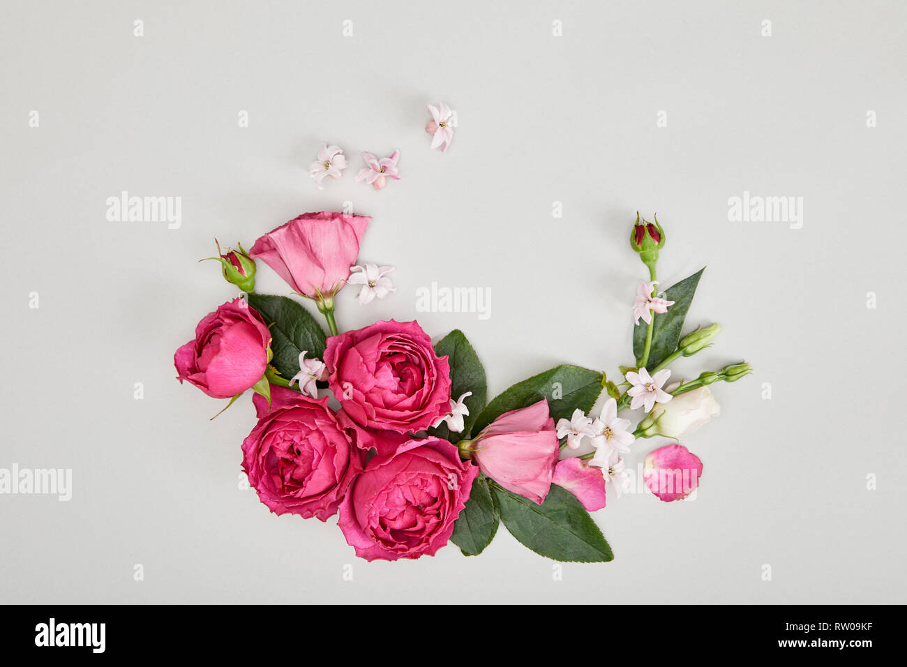 Composition with pink roses hi-res stock photography and images - Alamy