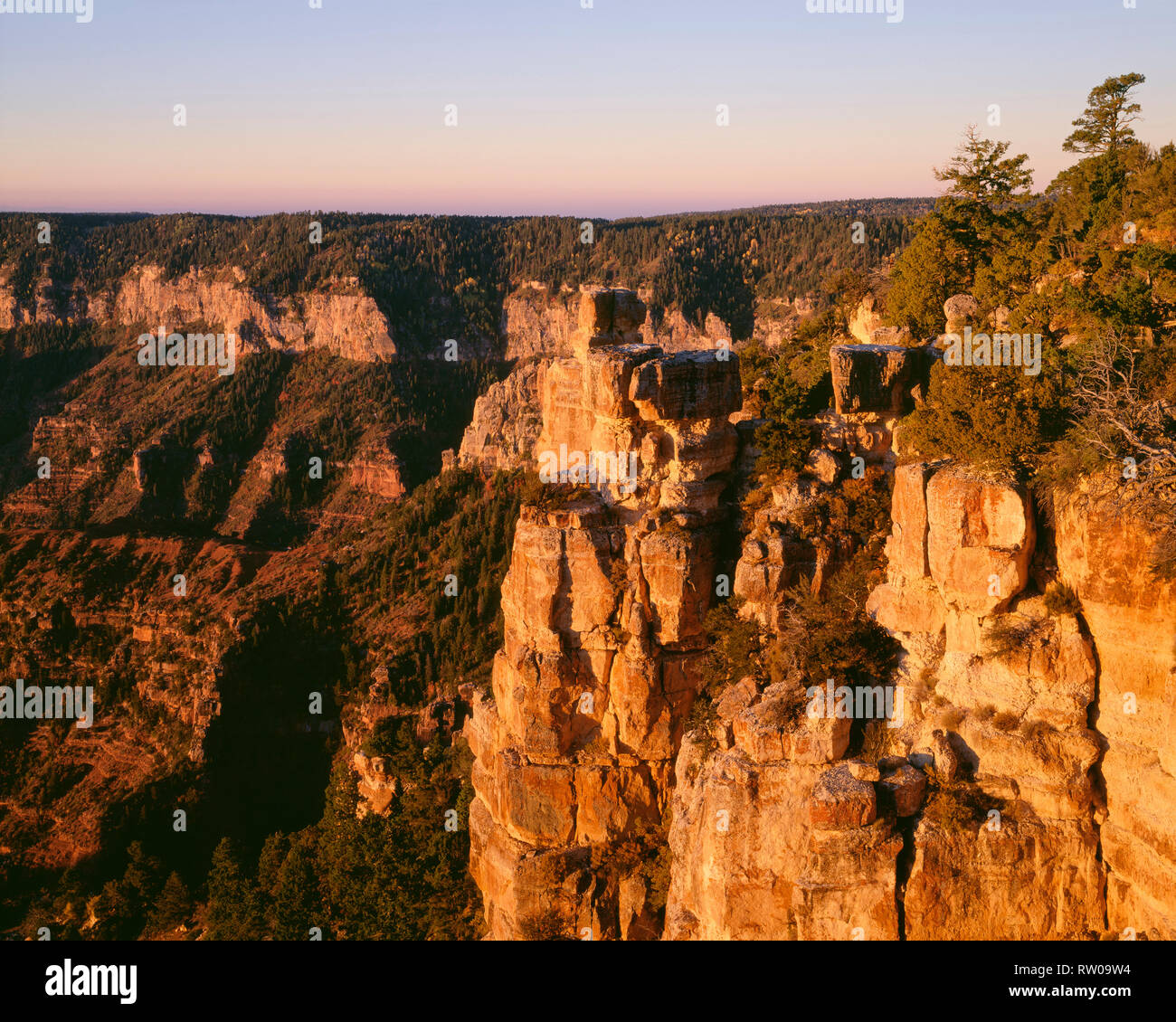 Kaibab limestone grand canyon hi-res stock photography and images - Alamy