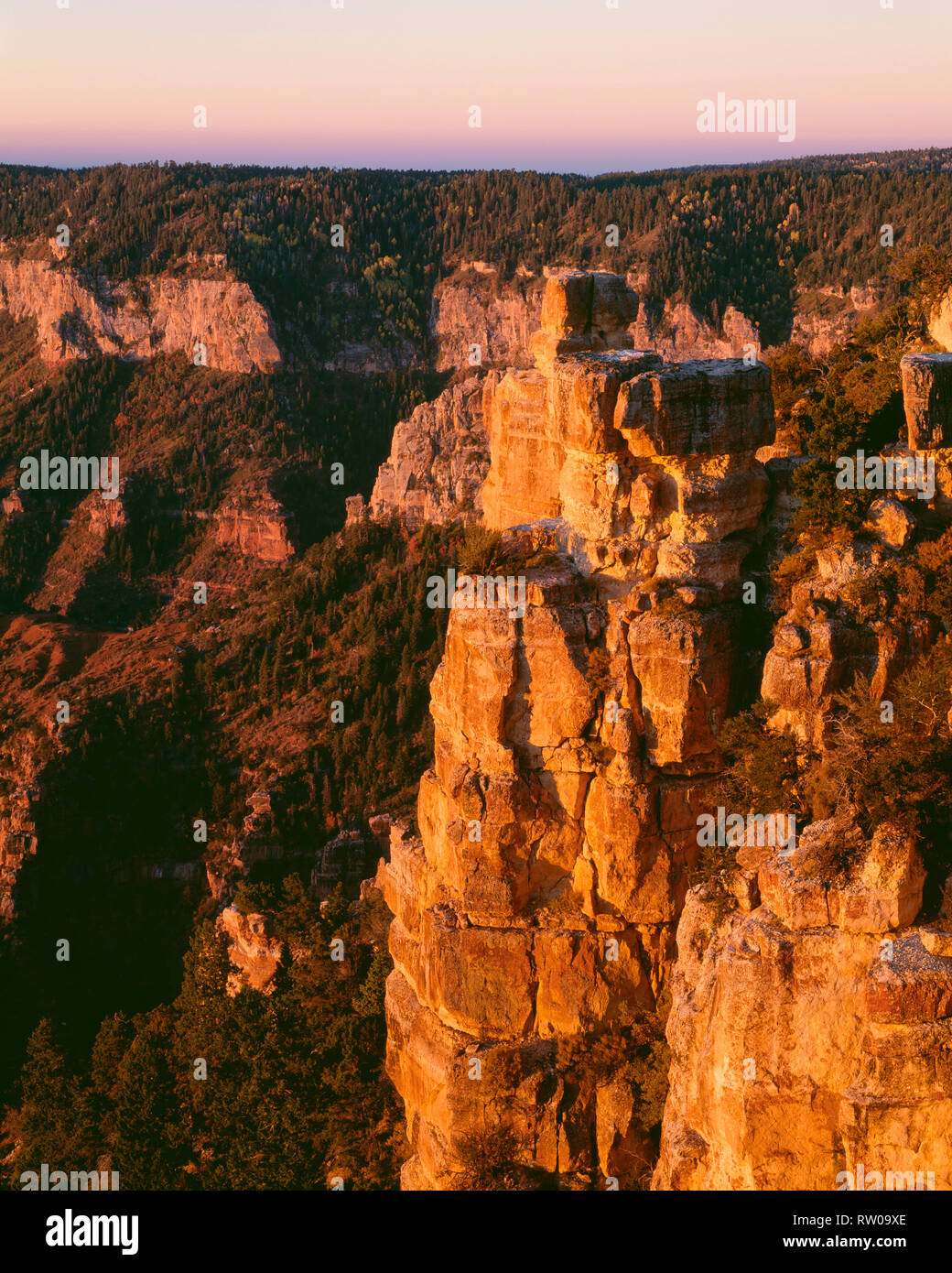 USA, Arizona, Grand Canyon National Park, Sunrise light on Kaibab ...