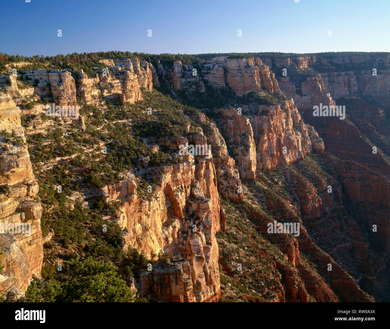 USA, Arizona, Grand Canyon National Park, North Rim, Eroded face of ...