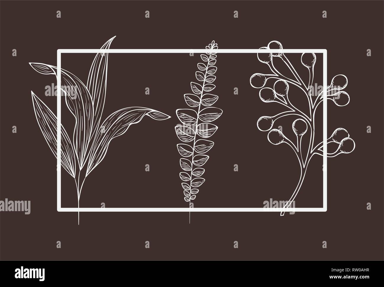 pattern flowers and leafs isolated icon Stock Vector Image & Art - Alamy
