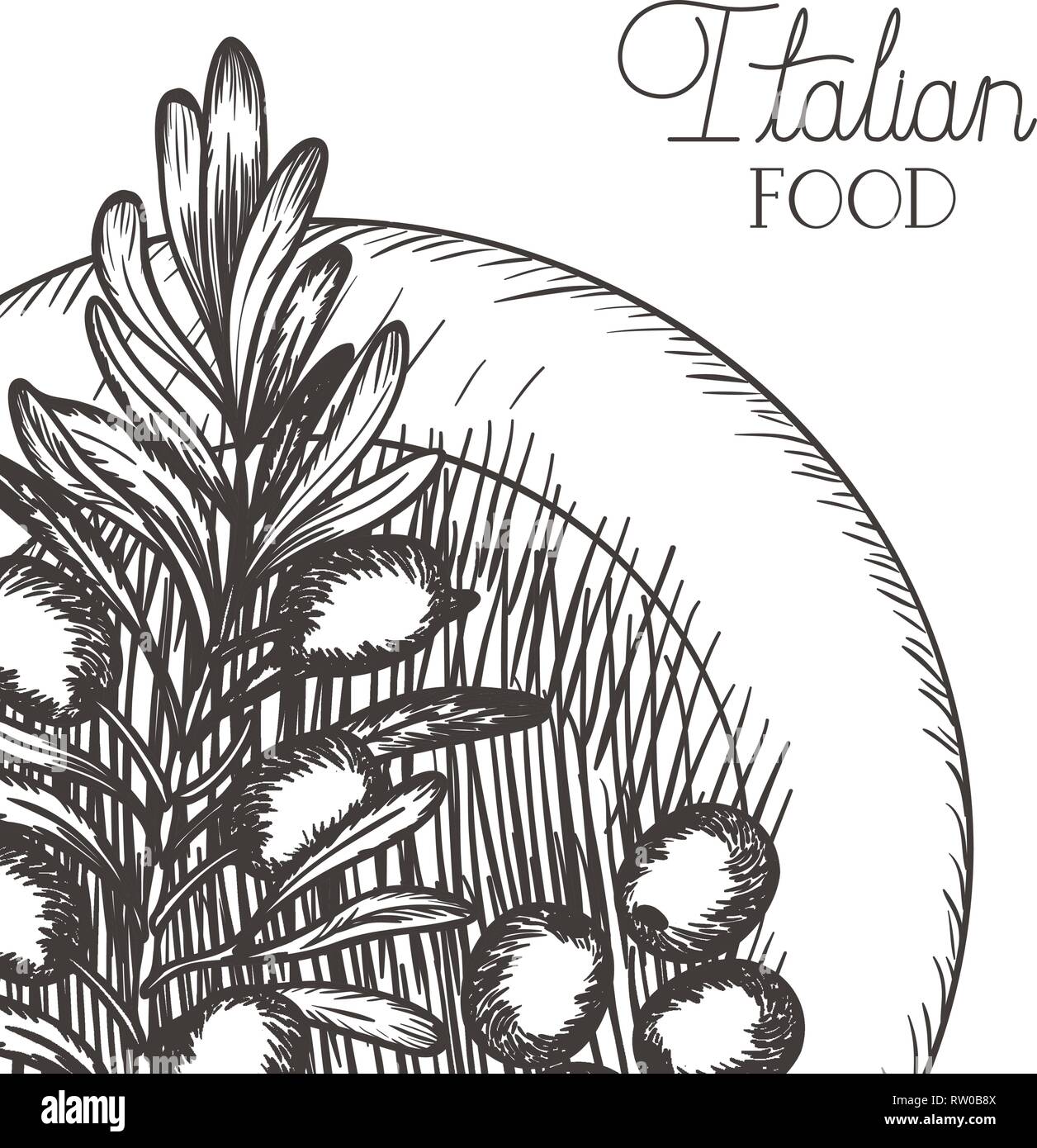 olive flower drawing isolated icon Stock Vector Image & Art - Alamy