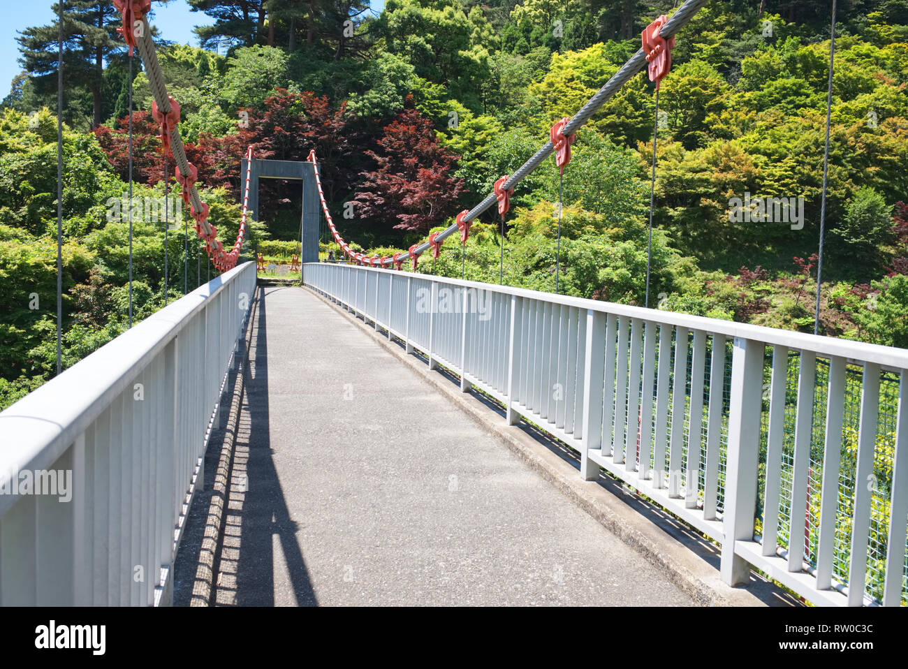 Bridge on Fukuoka's Aburayama leading to colorful leaves Stock Photo ...