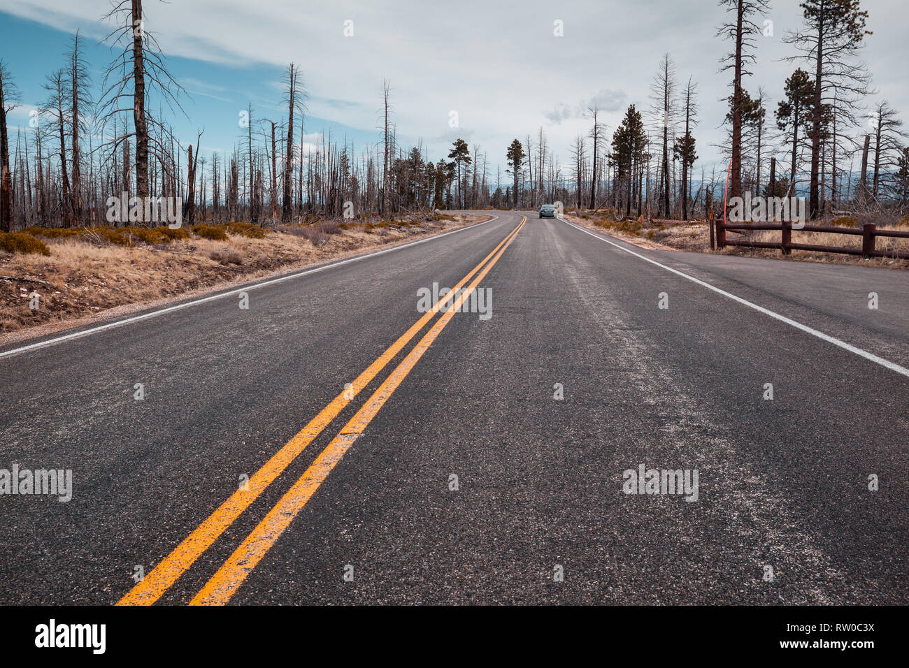 Bryce Canyon Road Highway Park High Resolution Stock Photography and ...