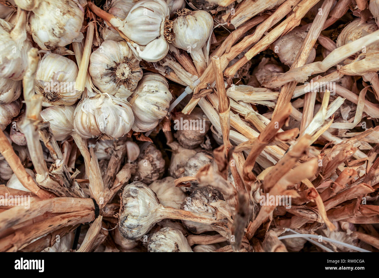 Top view, garlic sticks, displayed on food market Stock Photo - Alamy