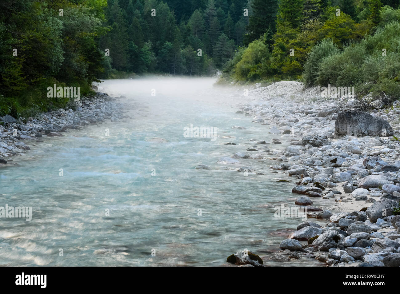 Cold blue mountain river covered with fog surrounded with trees and ...