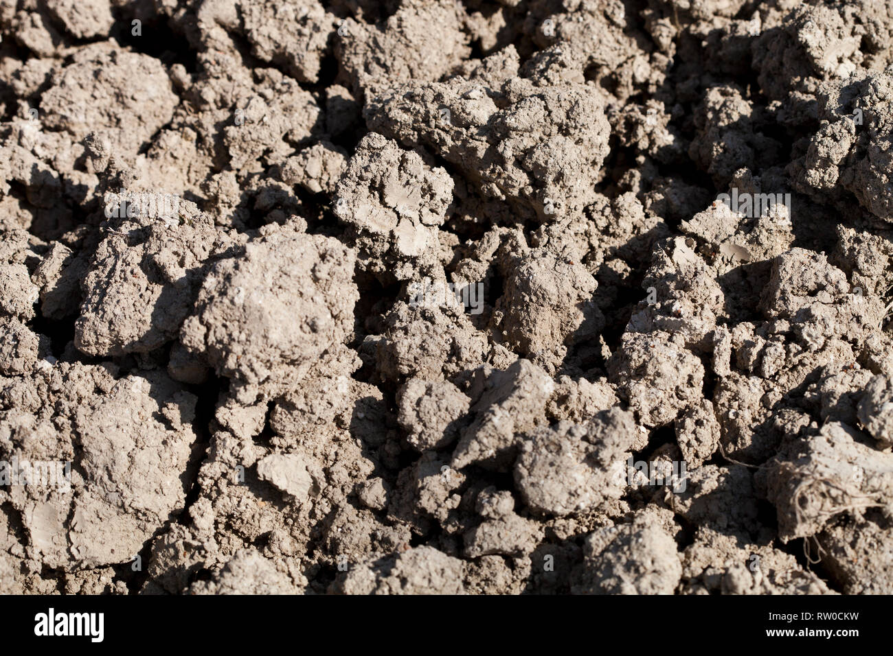 Dirt background texture. Soil prepared for cultivation Stock Photo - Alamy
