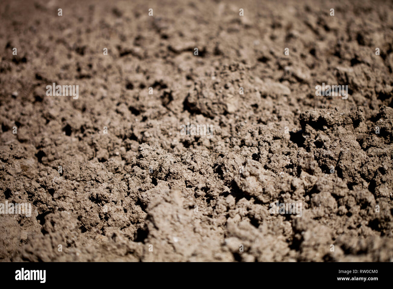Dirt background texture. Soil prepared for cultivation Stock Photo - Alamy