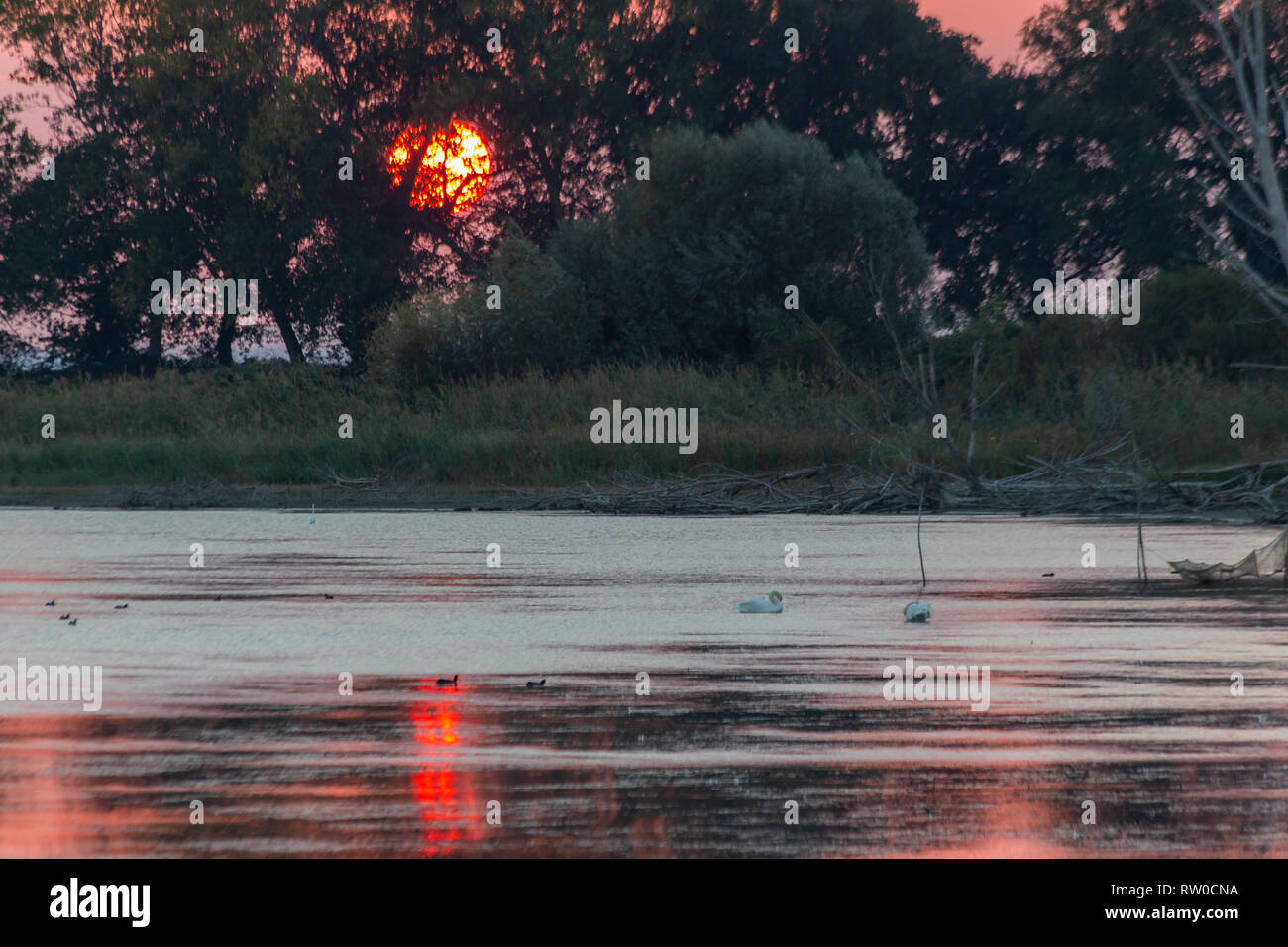 Sunset scene over lake, with sun coming down behind some trees and ...