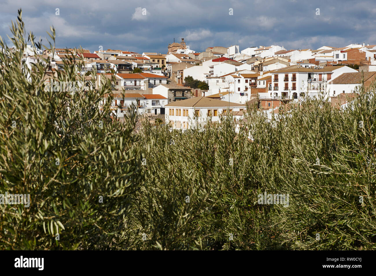 Encina Spain High Resolution Stock Photography and Images - Alamy